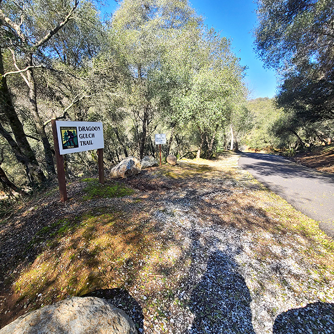 Dragoon Gulch Trail welcomes hikers of all ambitions, from "I climb mountains before breakfast" types to "I'm just here for the scenery" wanderers.
