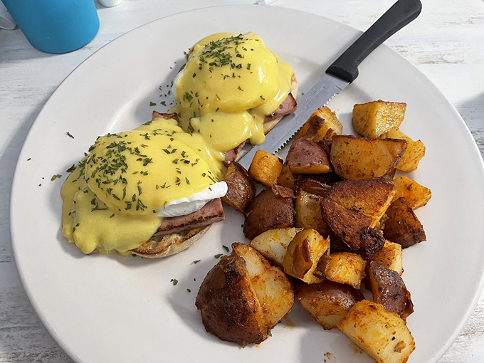 The legendary Eggs Benedict in all its glory. Two perfectly poached eggs perched atop Canadian bacon, draped in hollandaise that whispers, "Take a picture first, but hurry!"