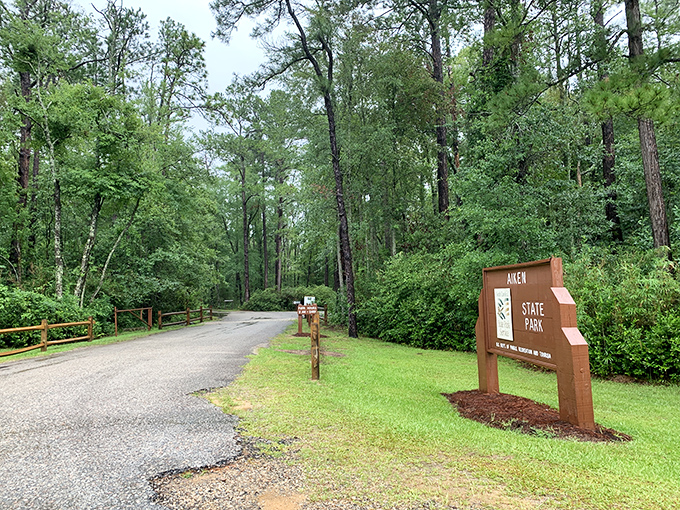 The road less traveled actually has signs. This welcoming entrance to Aiken State Park promises adventures without requiring satellite navigation or survival skills.