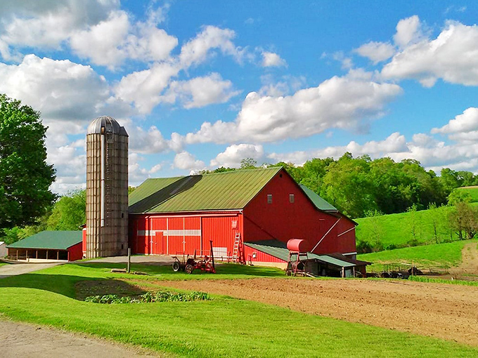 The original corner office with a view. This classic red barn and silo combo isn't just picturesque&mdash;it's a working cathedral to agriculture that's been sustaining families for generations.