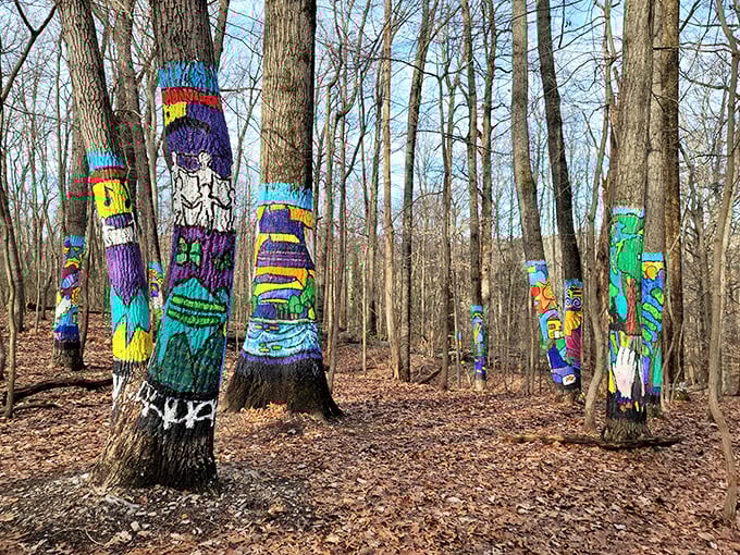 Who needs an art gallery when Mother Nature provides these painted trees? The Forest of Hope offers a colorful surprise amid the woodland.