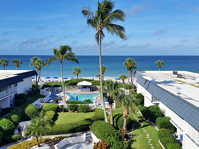 Resort living at its finest: palm trees standing guard over a pool that's bluer than a Frank Sinatra album cover.