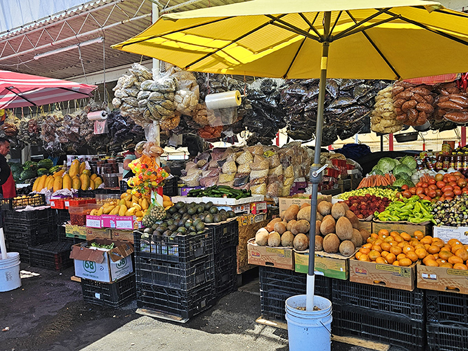 Nature's color palette on full display. These fruits and vegetables didn't get the memo about inflation&mdash;they're still priced like it's 1995.