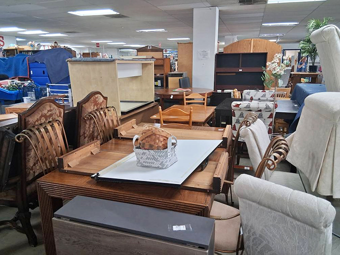 Dining sets and armchairs arranged like a living room showroom from six different decades. Mid-century meets millennium in this furniture time warp.