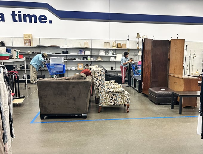 Furniture island: where that perfect armchair with character waits to tell stories in your living room.