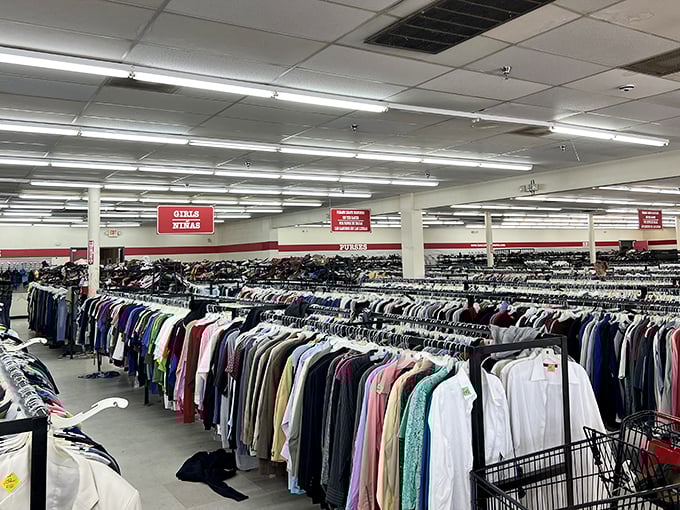 Under the bright fluorescent lights, each rack tells a different story waiting to be discovered by patient treasure hunters.