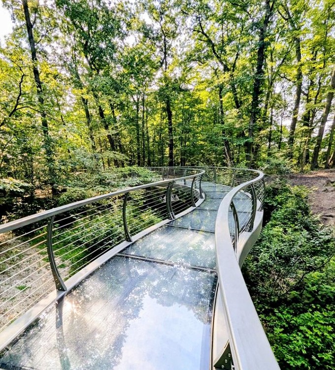 Walking on air! This glass walkway offers treetop views without the climbing, like getting the penthouse experience without the mortgage.