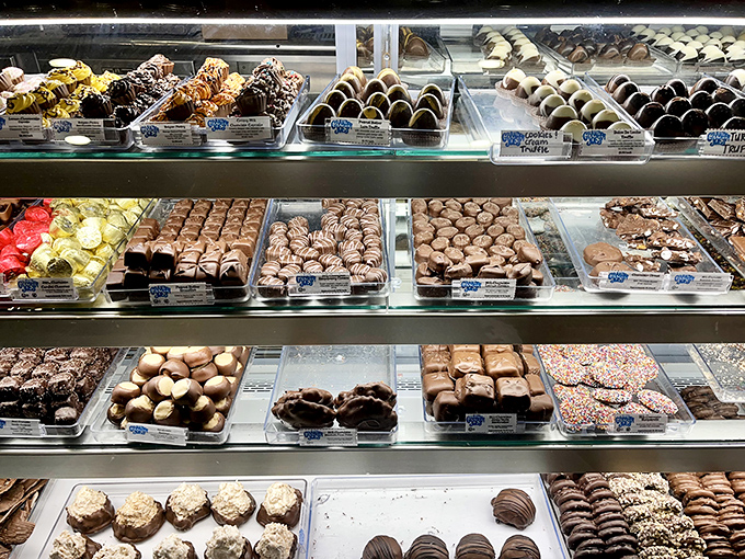 Chocolate paradise arranged in gleaming rows&mdash;proof that organization skills and confectionery arts can indeed coexist beautifully.