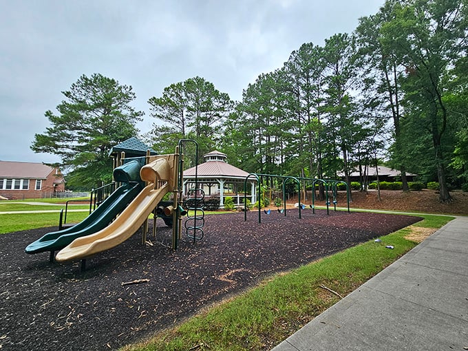 Family fun gets an upgrade at this thoughtfully designed playground where safety meets serious entertainment value.