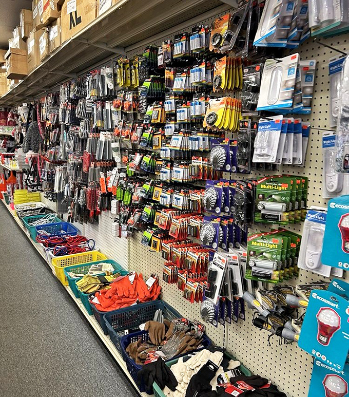 Tools and hardware at prices so low, even your handiest neighbor will ask for your secret.