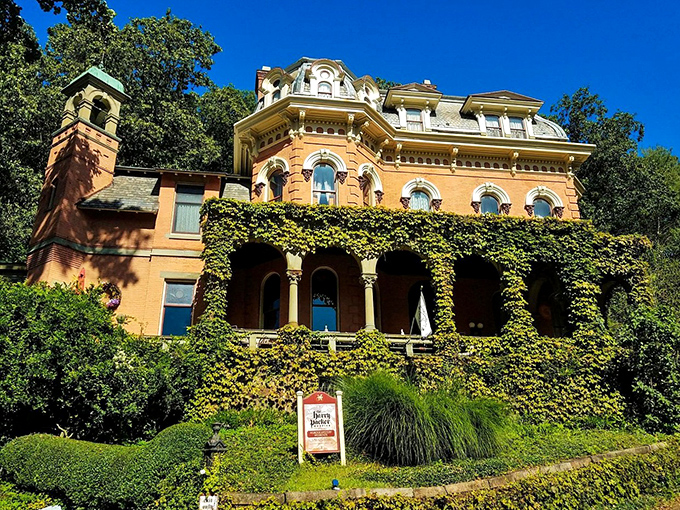Ivy embraces the Harry Packer Mansion's golden walls, a building so dramatically beautiful it reportedly inspired Disney's Haunted Mansion. Talk about curb appeal!