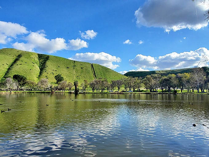 Hart Memorial Park's emerald hills and glassy waters create a postcard-perfect scene that looks like it should cost admission. Plot twist: it's free!
