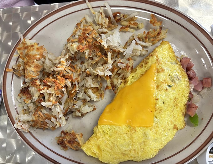 Golden hash browns with the perfect crisp-to-tender ratio alongside a cheese-draped omelet. Breakfast architecture at its finest.
