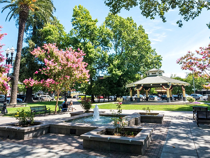 The town plaza serves as Healdsburg's living room, complete with fountain, gazebo, and enough shade trees to make Southern grandmothers nod in approval.