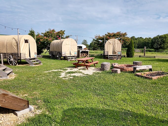 Covered wagons at Heritage Campground offer a taste of pioneer life without having to worry about dysentery, unlike your Oregon Trail adventures.