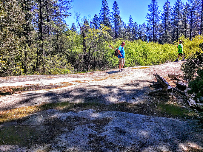 Nature's therapy session just minutes from downtown. The Sierra foothills offer hiking trails where cell service fades but conversation flourishes.