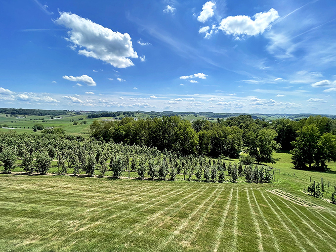 Mother Nature showing off her landscaping skills &ndash; meticulously terraced fields that would make any suburban lawn enthusiast question their life choices.