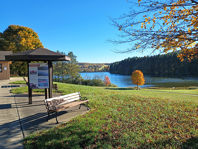 Hills Creek State Park offers that perfect bench-with-a-view moment where you contemplate quitting your job and becoming a full-time nature poet.
