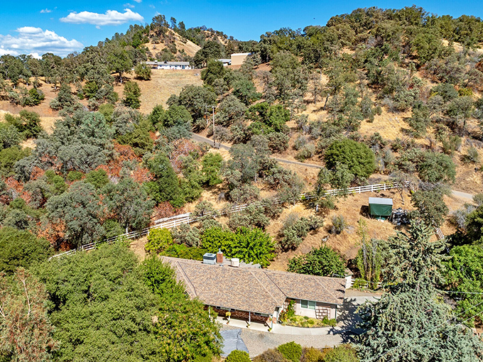 The Coarsegold Market isn't just a store &ndash; it's the community's living room where locals debate everything from rainfall predictions to the best peach cobbler recipe.