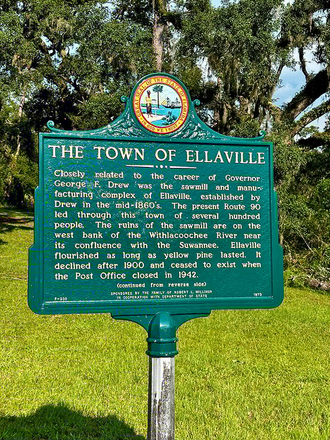 History preserved in green and gold—this marker might be the most talkative resident left in Ellaville, sharing stories with anyone who stops.
