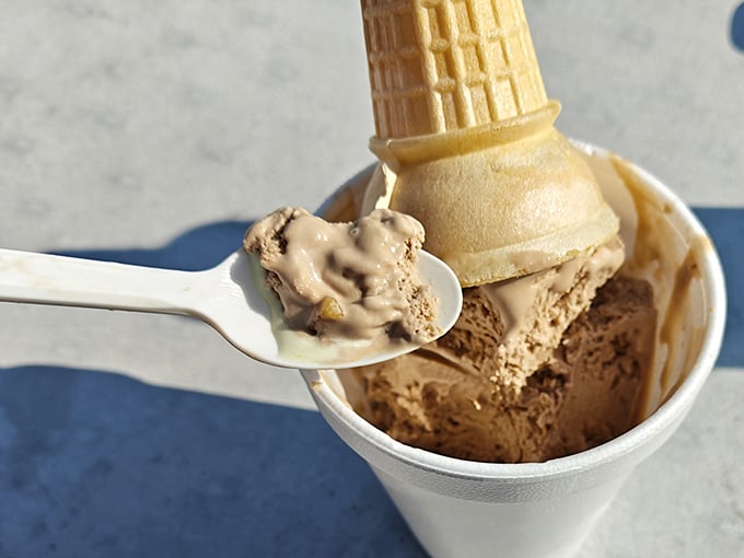 This isn't just ice cream&mdash;it's a spoonful of childhood nostalgia in a cup, complete with those magical little chocolate flecks that whisper "homemade." 