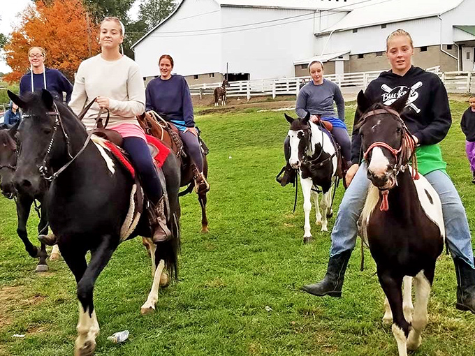 Horseback riding in Holmes County—where "horsepower" isn't just a car spec but an actual afternoon activity with genuine neighs of approval.
