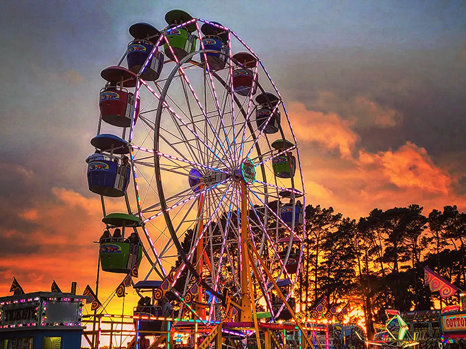 The Ferris wheel at Humboldt County Fair paints the sunset sky with childhood nostalgia. Summer memories in the making.