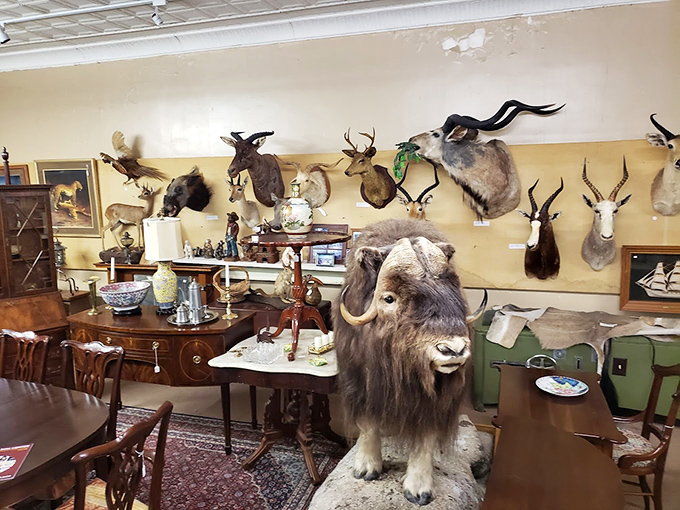 Welcome to the room where Hemingway would've written if he'd hunted in North Carolina instead of Africa.