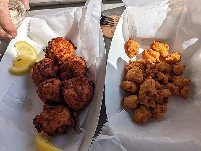 Golden-brown hush puppies that crunch like nature's perfect snack, paired with fried mushrooms that somehow make vegetables exciting again.