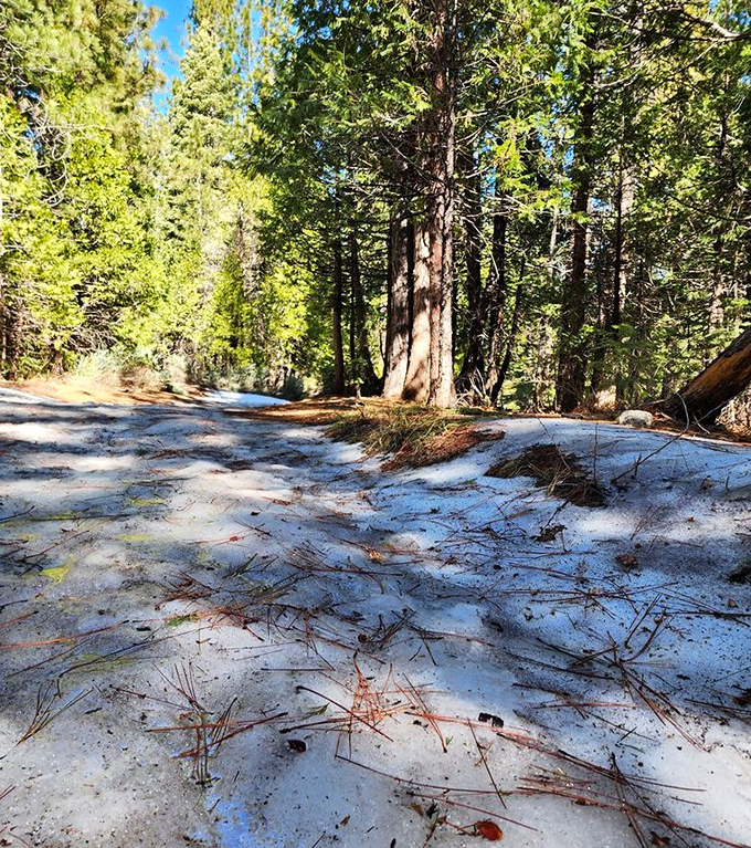 Winter's last stand in spring's domain. These snowy patches along the trail are like nature's air conditioning&mdash;a preview of the refreshing experience ahead.