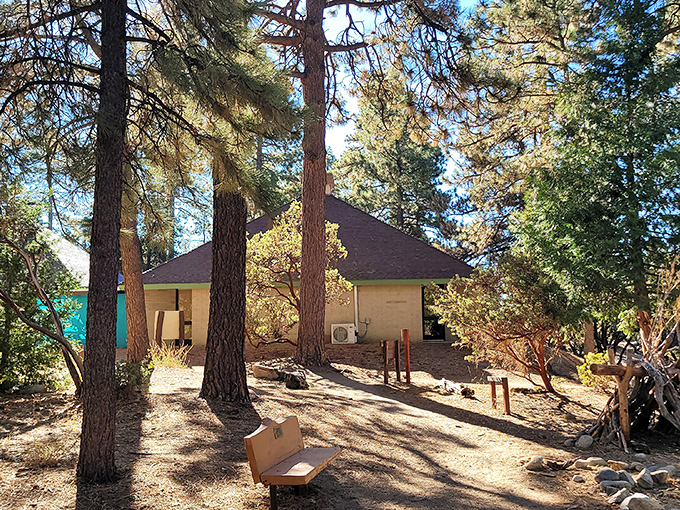 A humble mountain cabin nestled among giants. In Idyllwild, even the most modest structures seem to whisper, "Slow down, you're on mountain time now."