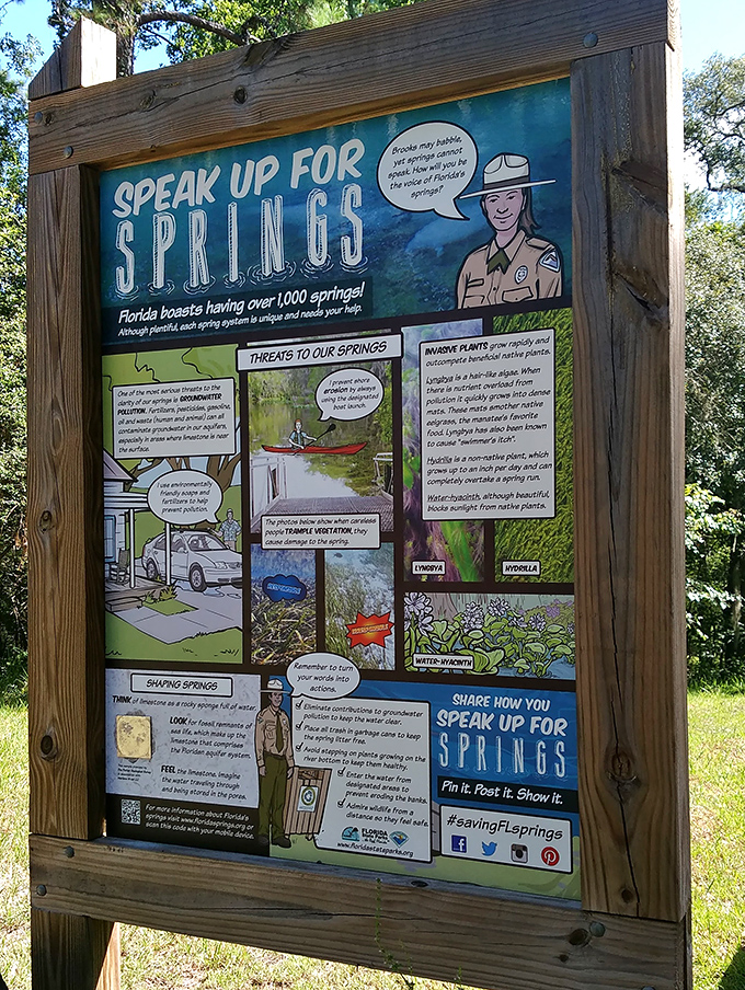 Conservation meets education on this colorful sign. Remember folks, these springs didn't stay this beautiful for thousands of years by accident!.