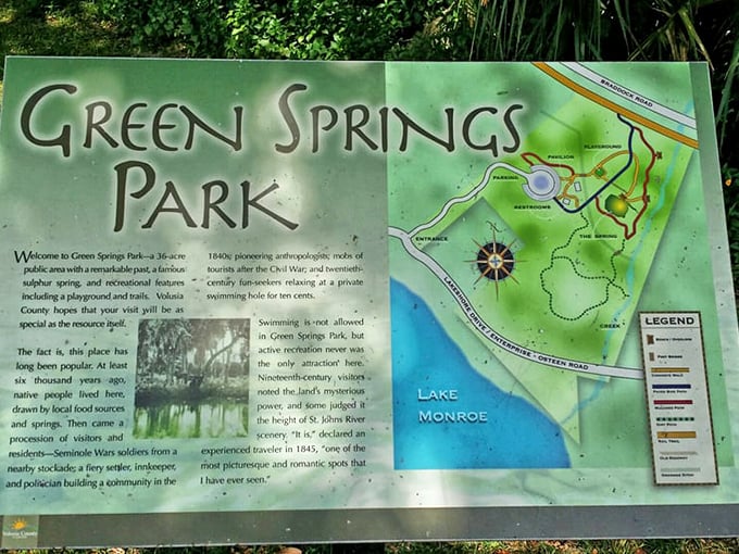 Educational and beautiful, because learning about nature shouldn't feel like homework from decades past.