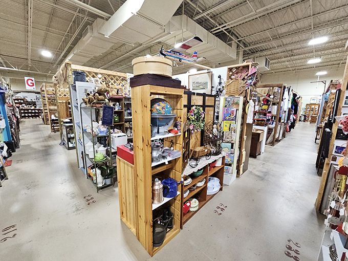 Vendor booths create a maze of memories where one person's forgotten knickknack becomes another's prized possession. The thrill of the hunt begins here.