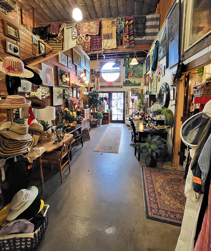 Walking through this corridor feels like entering a carefully curated fever dream where every surface holds something fascinating. Indiana Jones would approve of this artifact collection.