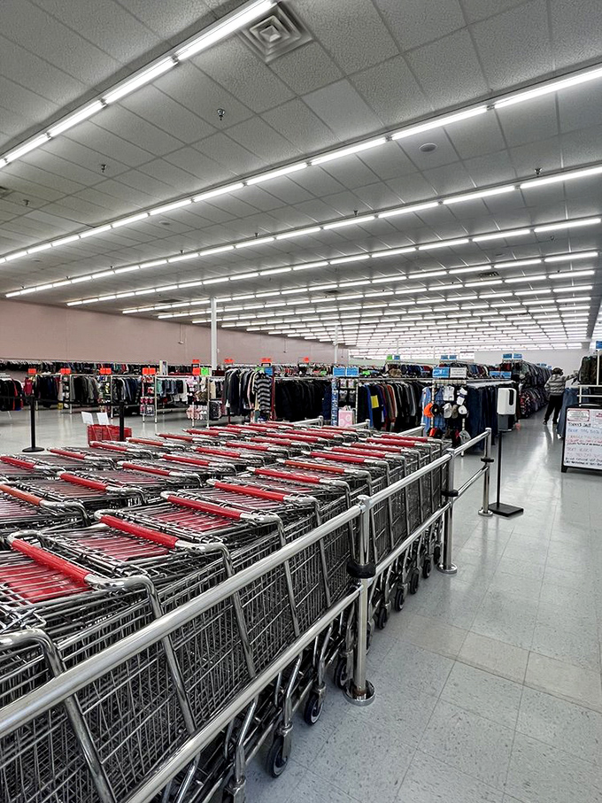 Shopping carts lined up like eager racehorses at the starting gate, each waiting for its chance to be filled with thrifted treasures.