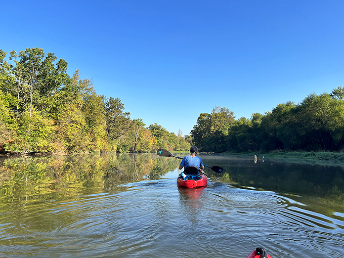 Paddling the Little Miami River near Waynesville offers the kind of serenity that expensive meditation apps promise but rarely deliver.