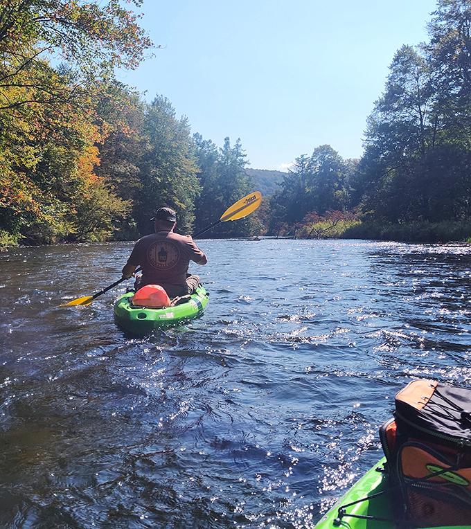 Adventure awaits around every bend! Kayaking here feels like starring in your own nature documentary, minus the dramatic voiceover.