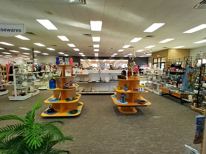 Housewares heaven! These circular displays showcase everything from forgotten kitchen gadgets to tomorrow's conversation pieces—all waiting for adoption.