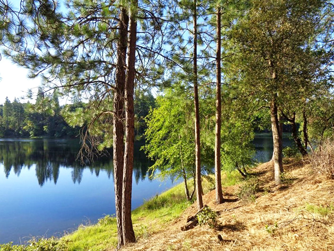 Lake Tabeaud mirrors the sky like nature's own Instagram filter, no enhancement needed.