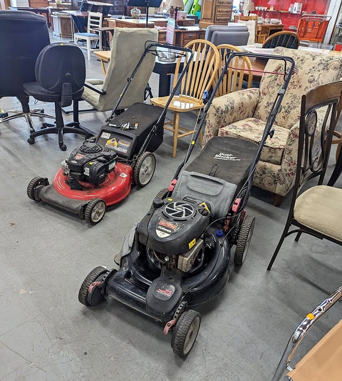 Need to tame your lawn without mowing down your savings? These pre-loved grass-taming machines are ready for their second act.