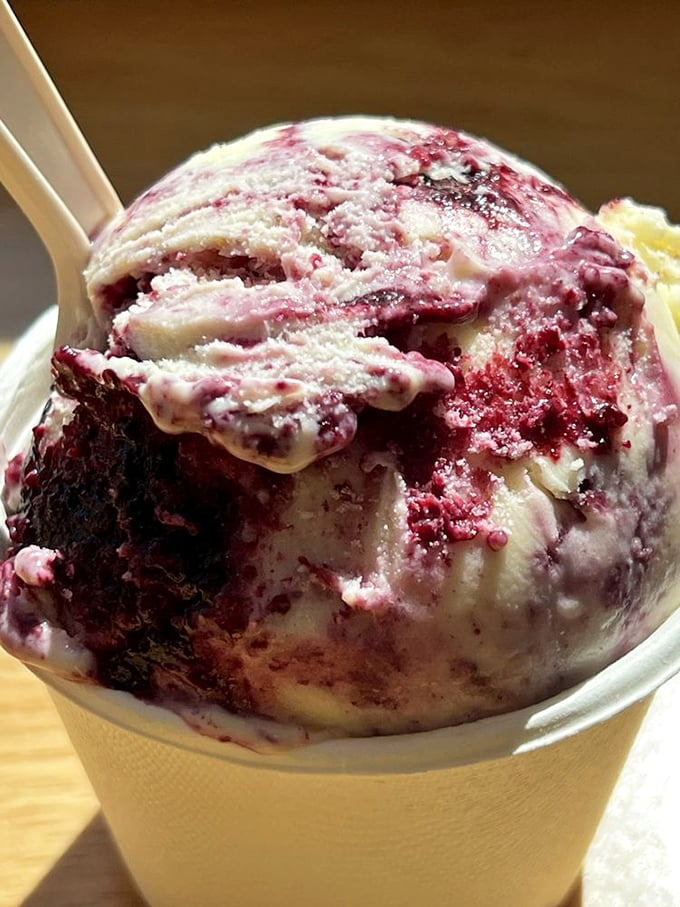 Berry meets cream in a swirled dance of summer flavors. This isn't just ice cream; it's what clouds must taste like in heaven. 