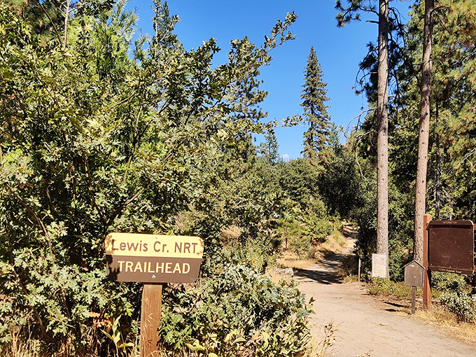 Nature's invitation stands at Lewis Creek Trail, where the Sierra wilderness whispers, "Come get lost in me for a while."
