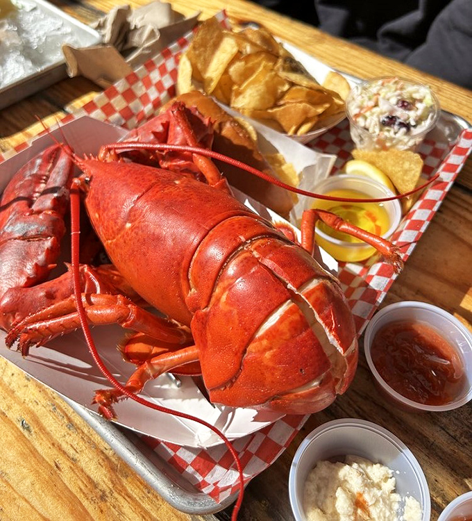 The star of the show in all its crimson glory. This isn't just dinner; it's a relationship that requires commitment, tools, and possibly a bib.