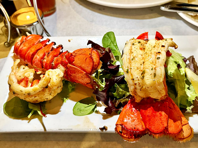 Maine lobster presented so beautifully you'll feel guilty for about three seconds before demolishing it with childlike glee.