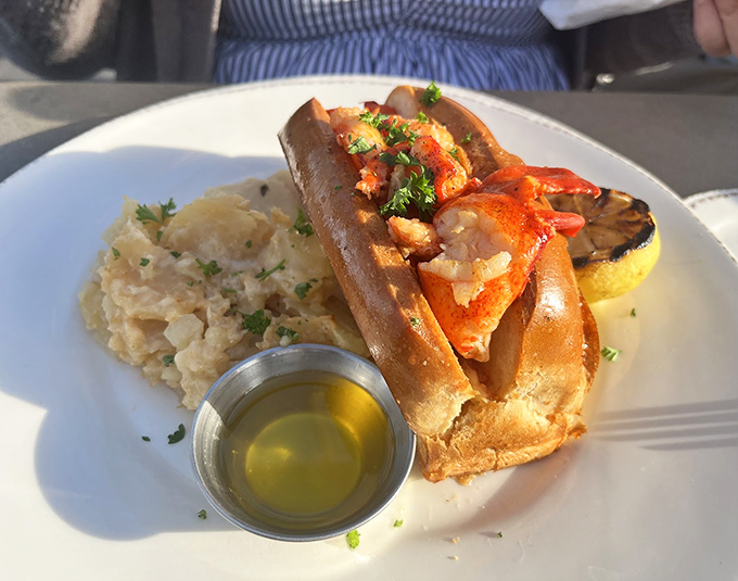 The lobster roll that launched a thousand ferry trips. Sweet Maine lobster nestled in buttery perfection with a side of potato salad that doesn't know it's a supporting actor.