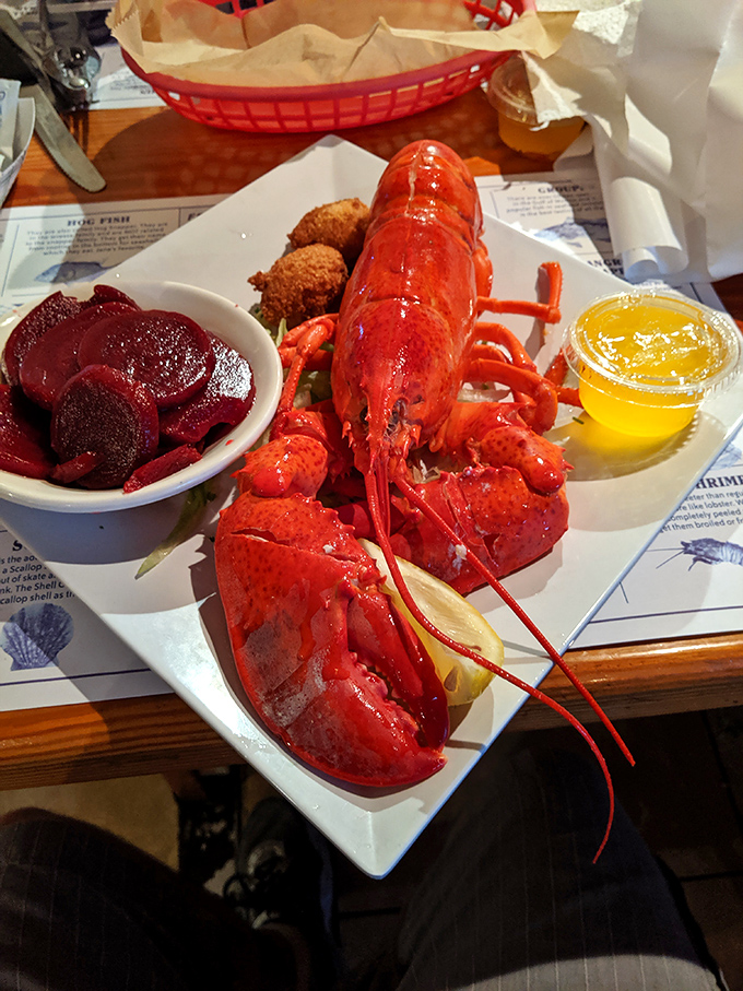 Behold the crimson king of crustaceans, served with drawn butter and pure coastal bliss.