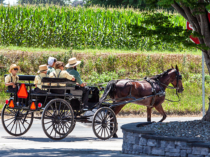 Family transportation, Amish-style: No seatbelts, no cupholders, no problem&mdash;just the rhythmic clip-clop soundtrack that's been the area's theme music for centuries.