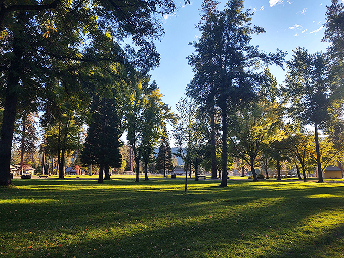 Lowden Park offers that perfect blend of shade and sunshine, where locals gather for everything from picnics to contemplating life's big questions. 