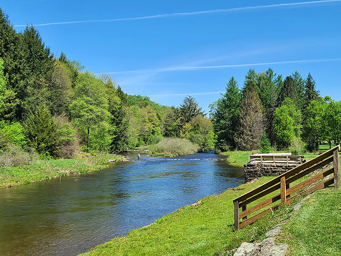 Spring's emerald embrace along the riverbank creates a postcard-perfect scene that no filter could improve. This is Pennsylvania showing off.